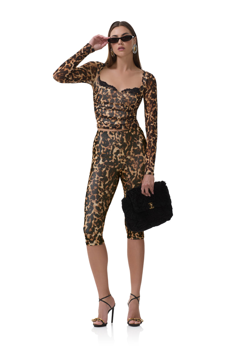 marcello-top-winter-animal – AFRM